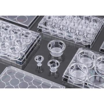 China Cell Culture Inserts,PET Membrane,PC Membrane Manufacturer and ...