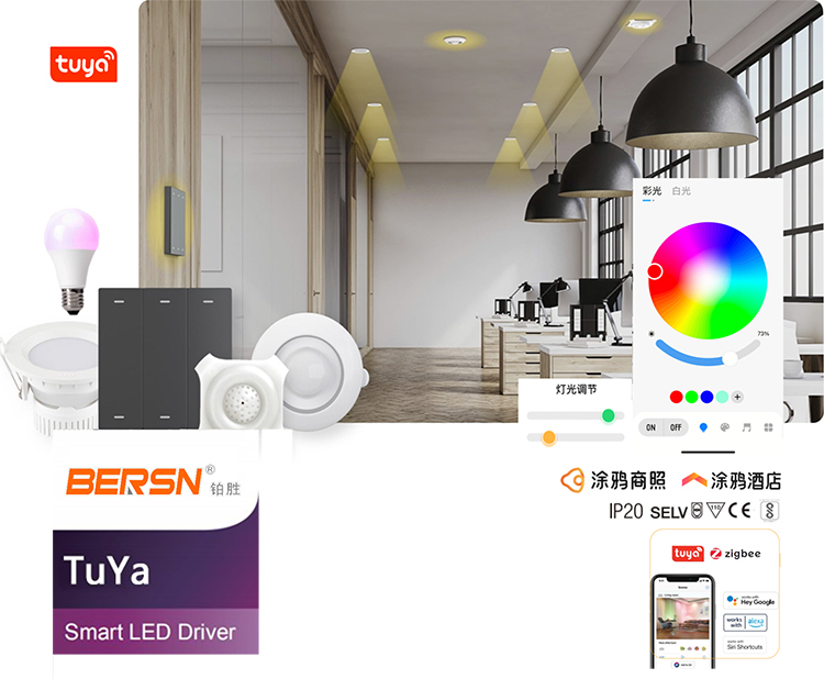 Tuya Led Power Supply 20w Dimmable Rgbtw Driver For Led Panel Light ...