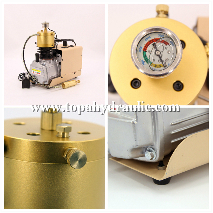 Hunting 300 Bar Compressor For Fx Airguns, High Quality Hunting 300 Bar ...