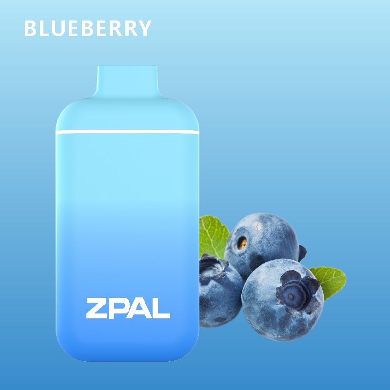 Blueberry Flavoured Disposable Electronic Cigarettes, High Quality ...