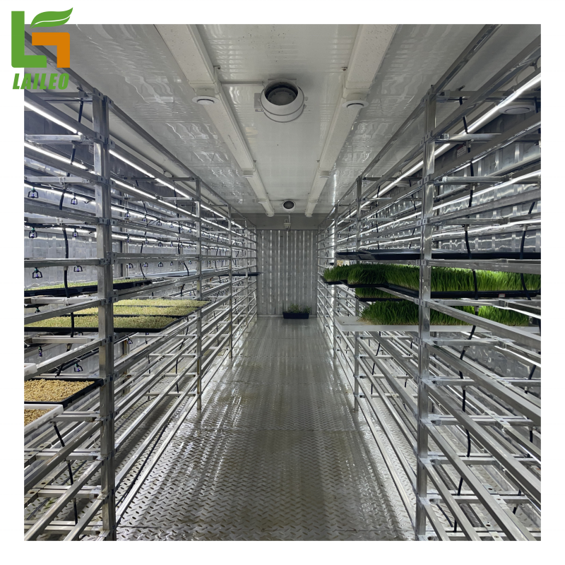 Smart Farm Shipping Container Hydroponic Greenhouse System For Pasture ...
