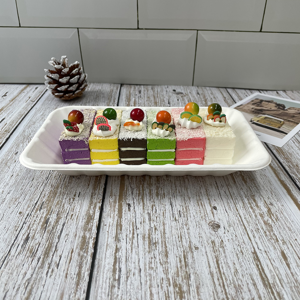 100% Biodegradable Square Sugarcane Fiber Food Tray, High Quality 100% ...