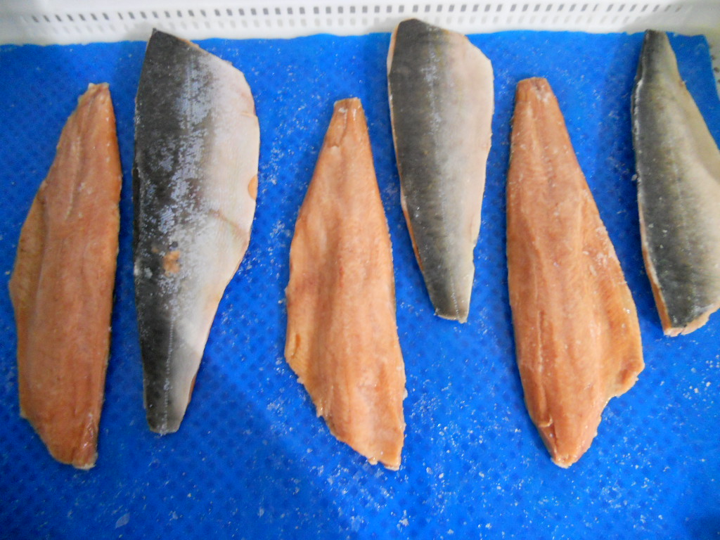 Wholesale Fresh Norwegian Salmon Fish From Export Quality, High Quality ...