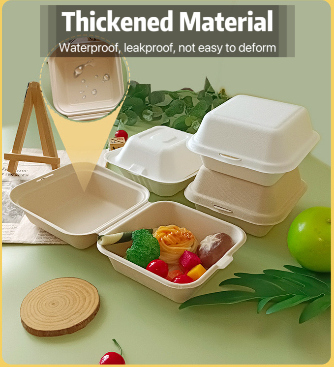 Disposable Biodegradable Sugarcane Bagasse Box, High Quality Disposable ...