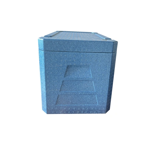 EPP VIP Pharmaceutical Thermal Box China Manufacturers Suppliers ...