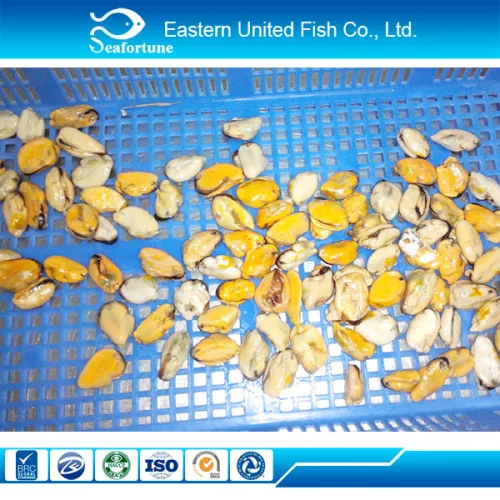 Iqf Iqf Whole Mussel Meat, High Quality Iqf Iqf Whole Mussel Meat on ...