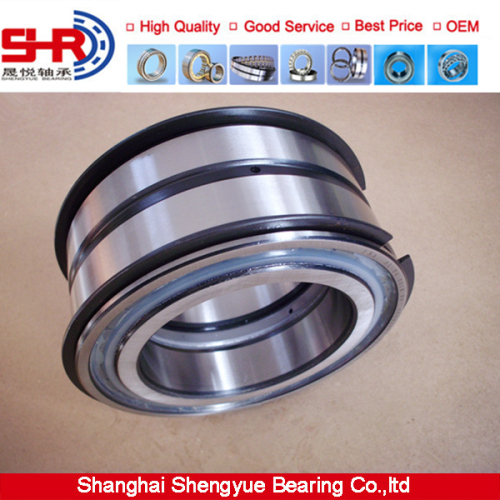 Single Row Full Complement Roller Bearing Sl183056, High Quality Single Row Full Complement ...