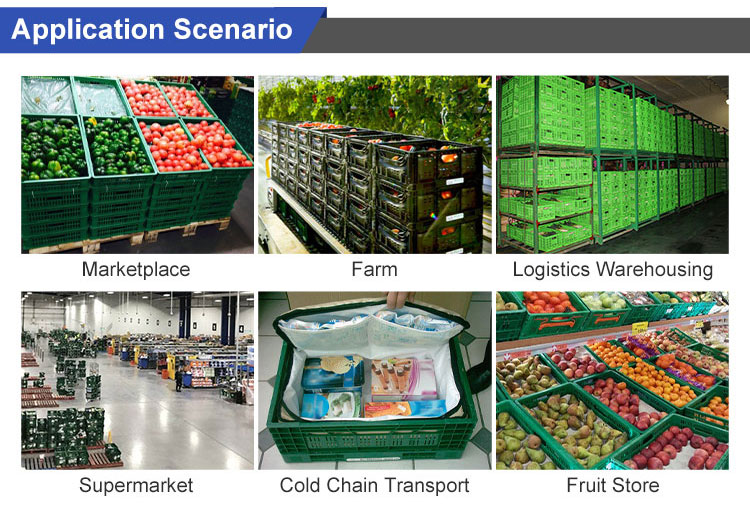 Collapsible, Ventilated Plastic Crates: Ideal Solutions For Vegetable ...