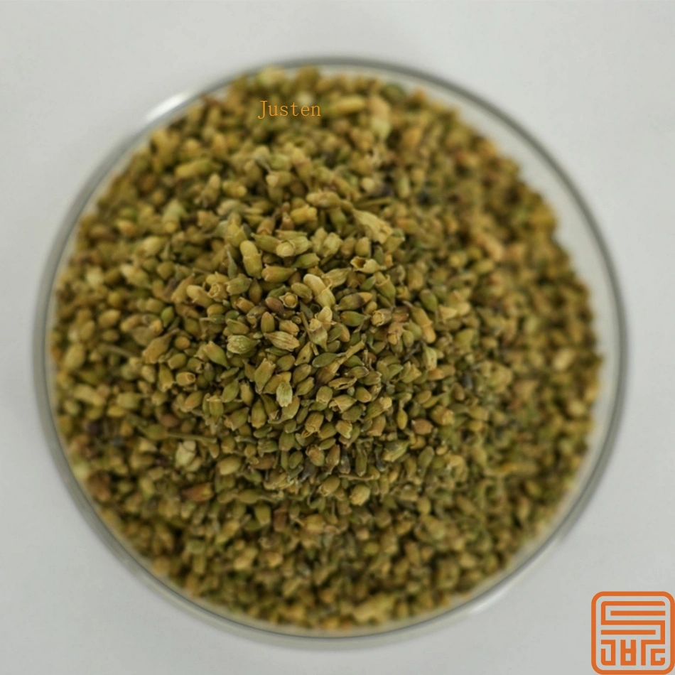 Sophora Japonica Extract Quercetin Anhydrous 95% China Manufacturers ...