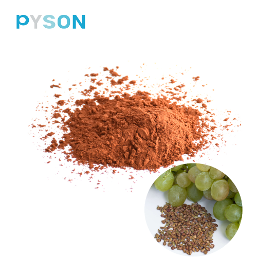 Genuine Grape Seed Extract Powder 95% Proanthocyanidins, High Quality ...