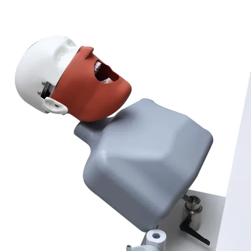 Phantom Head Simulation Unit, High Quality Phantom Head Simulation Unit ...