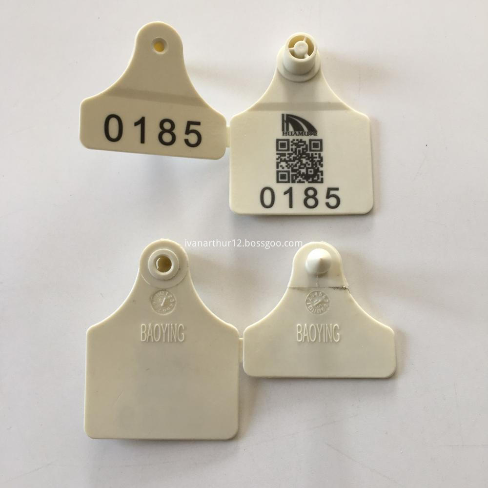Camel Ear Tag, High Quality Camel Ear Tag on Bossgoo.com
