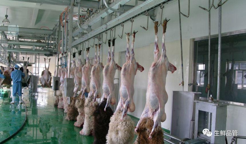 Full Set Sheep Slaughter Line With Slaughter Machine And Split Saw ...