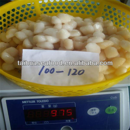 Iqf Seafood Scallops (100-120), High Quality Iqf Seafood Scallops (100-120) on Bossgoo.com