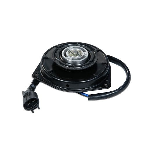 Automobile radiator cooling fan motor 065000-3391 For TOYOTA China Manufacturer