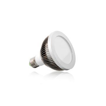 12w Led Par30 Spotlight (white Diffusion Light Source), High Quality ...