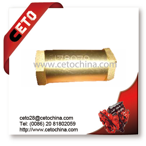 Genuine Cummins Marine Parts Nta855 Check Valve 178079, High Quality ...