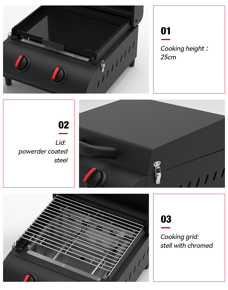 Portable Tabletop Gas Barbecue Plancha Grill Mini Steel Double Burner ...