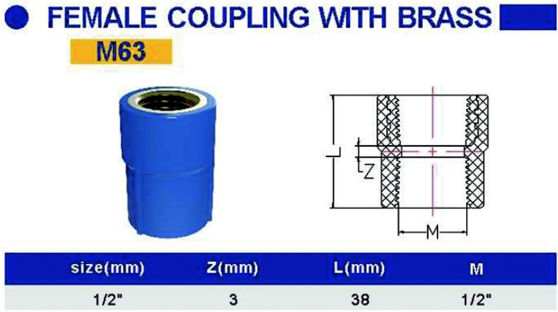 Upvc Female Threaed Coupling With Brass, High Quality Upvc Female ...