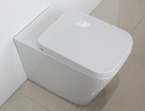 Concealed Cistern Washdown Floor Mounted Toilet / Wall Hung Toilet B2051b, High Quality ...