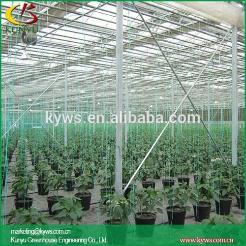 Sawtooth Type Vegetable Greenhouse Glass Greenhouse, High Quality ...
