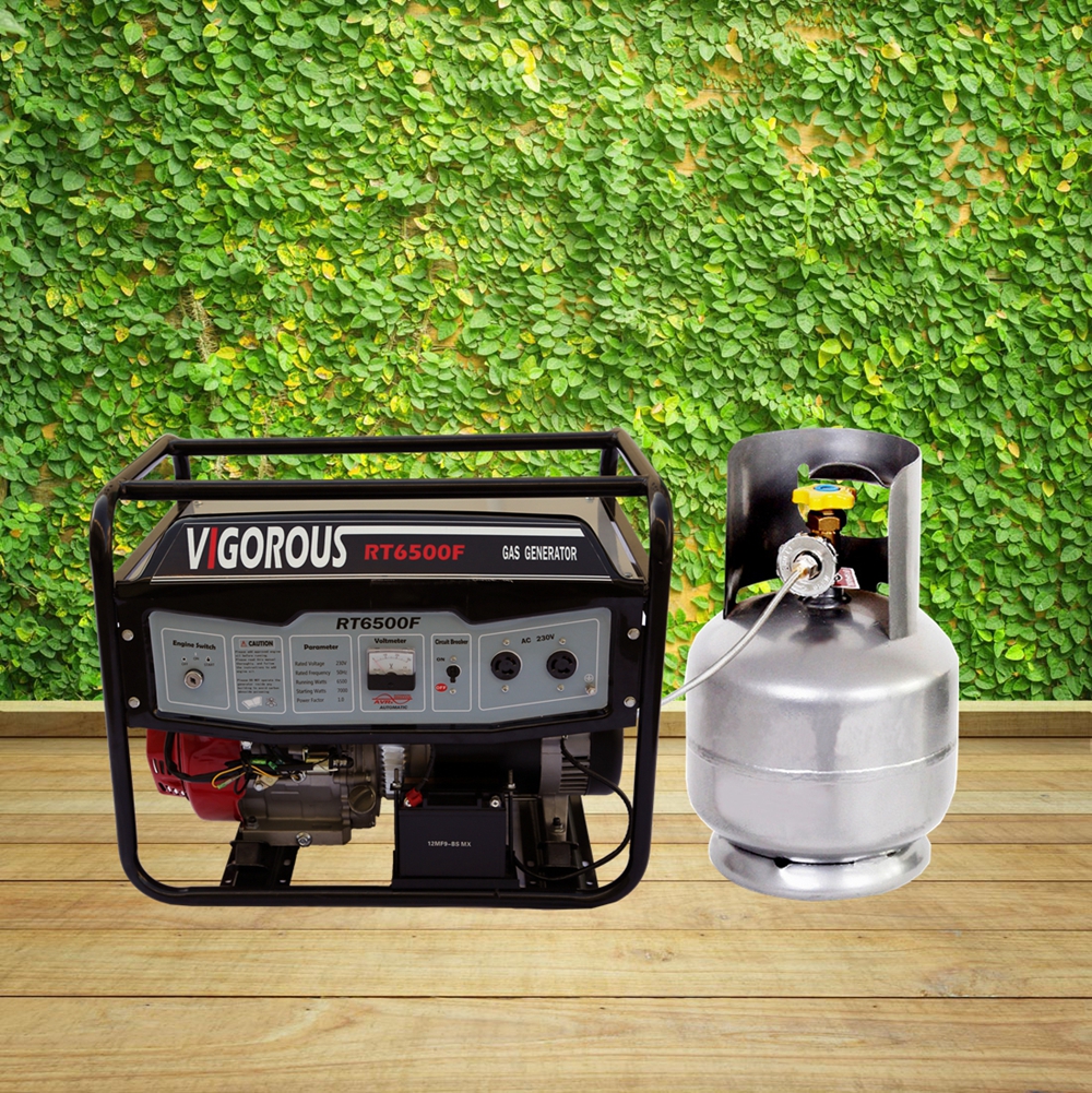 China Gas Generator, Portable Generator, Natural Gas Powered Generator ...