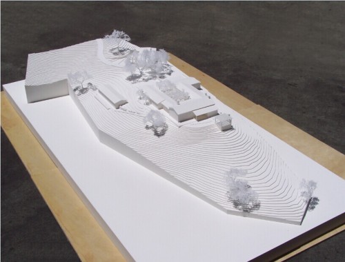 Topographic Massing Scale Model For Israel, High Quality Topographic ...