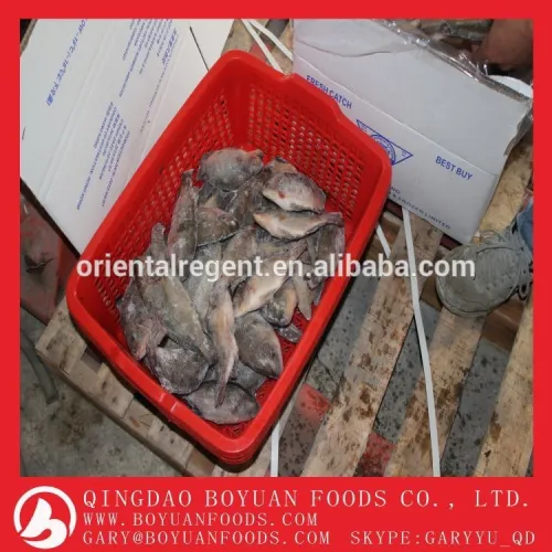 Fresh Frozen Tilapia High Quality Fresh Frozen Tilapia On