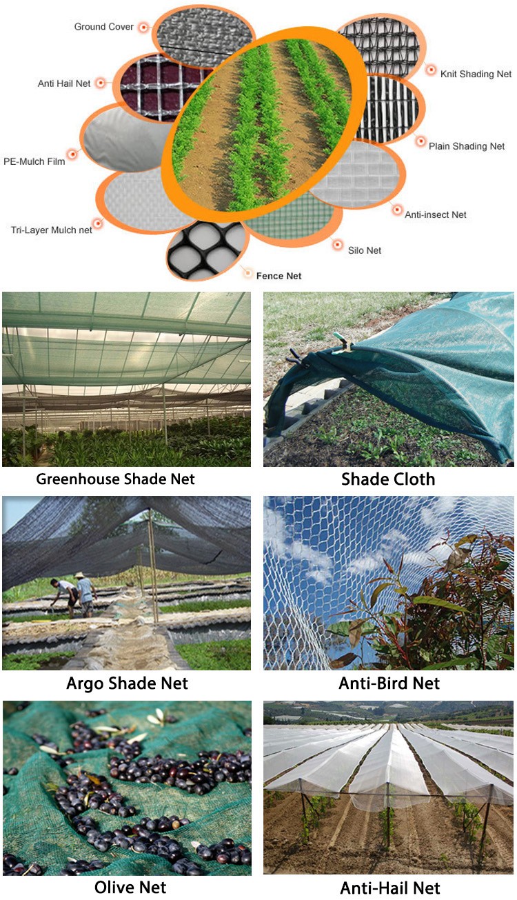185gsm Black Plastic Sun Shade Netting Cloth For Plants, High Quality ...