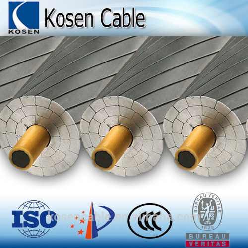 Acsr, Aac, Aaac, Acss/tw, Accc, Acar,opgw Bare Overhead Conductor, High ...
