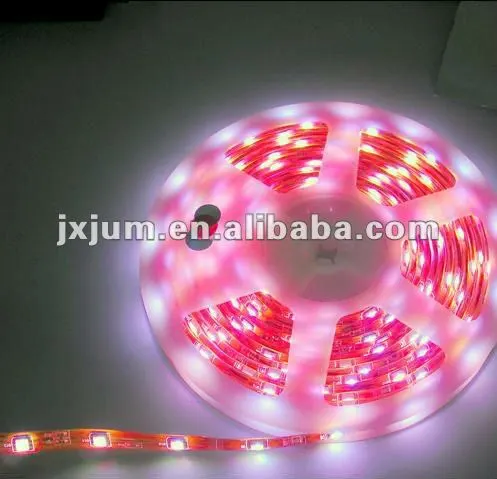 850nm Ir Led Strip Led Strip Light, High Quality 850nm Ir Led Strip Led ...