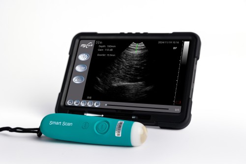 Smartscan D Sheep Pregnancy Scanning Equipment, High Quality Smartscan ...