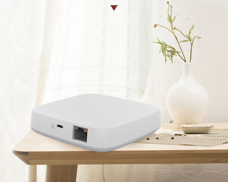 Home Assistant Iot Gateway: Tuya Wired Lan Controller - A Comprehensive ...