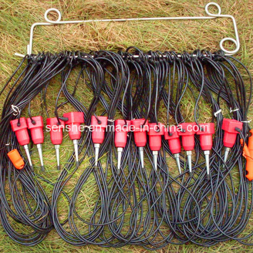 Land Geo String, High Quality Land Geo String on Bossgoo.com