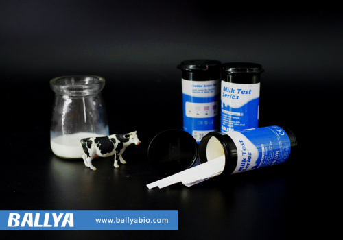 Cow Disease Detection Test Kit /mastitis Test Kit /rapid Cow Mastitis ...