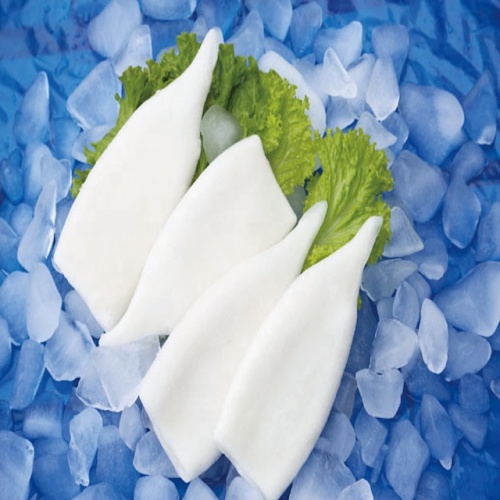 도매 Bqf 냉동 오징어 Gigas U3 U5, Bossgoo.com의 고품질 도매 Bqf 냉동 오징어 Gigas U3 U5