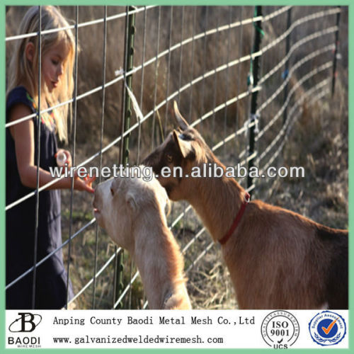 Goat Shelter Welded Wire Mesh Panel, High Quality Goat Shelter Welded ...