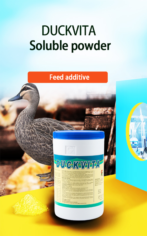 Duckvita Multivitamin Growth Booster For Duck And Ducklings, Bossgoo ...