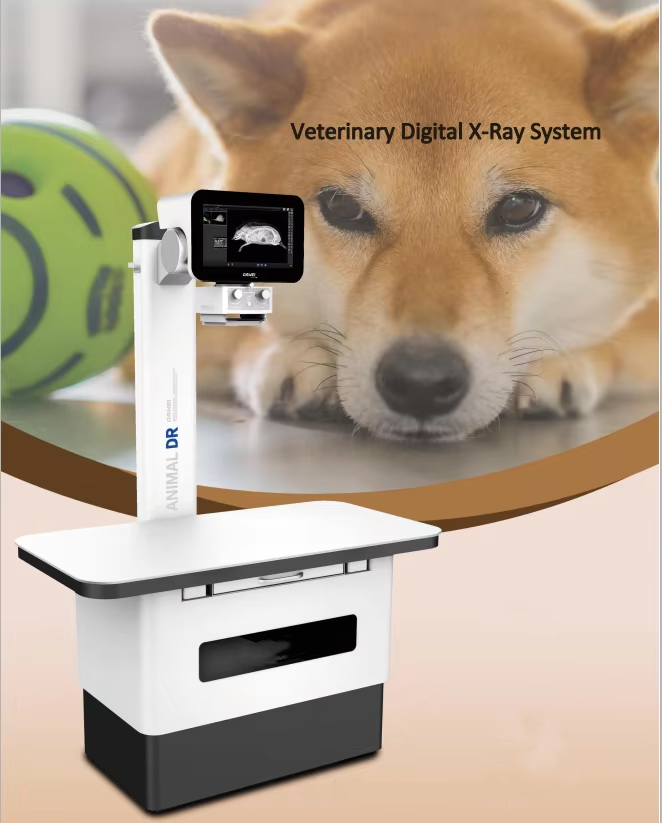 High Frequency Digital Portable X-ray Camera Veterinary X-ray Machine ...