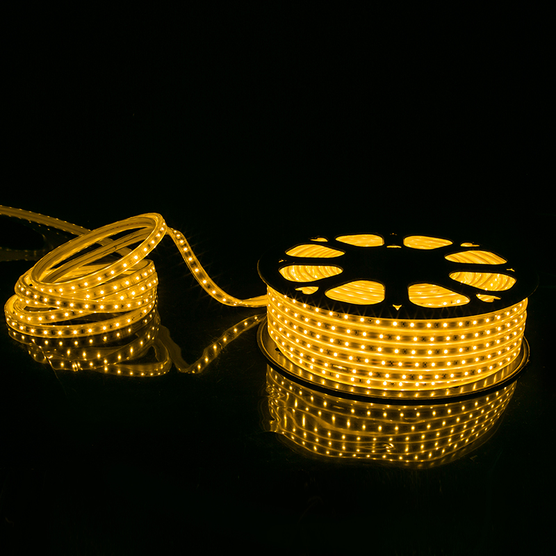 Outdoor Led Strip Lights 220v 110v Smd2835 60led/m For Decoration, High ...