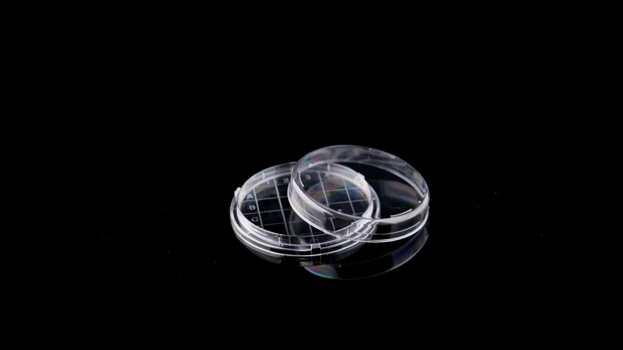 Why are petri dishes inverted during culturing?