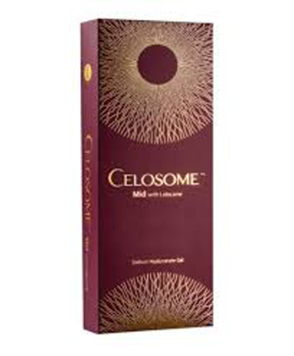 Dermal Fillers Injectable Beauty Cosmetics Hyaluronic Acid Injection ...