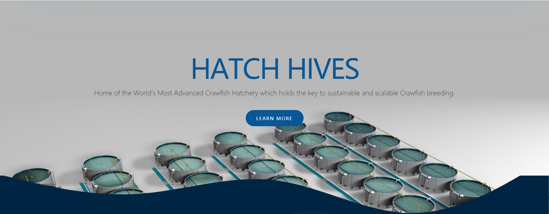 Mini Integrated Ras System For Tilapia Fish Farming, High Quality Mini ...