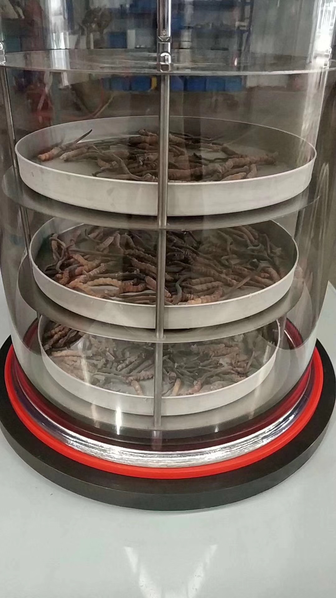 Pilot Freeze Dryer: Automatic Lab Scale Freeze Dryer, High Quality ...