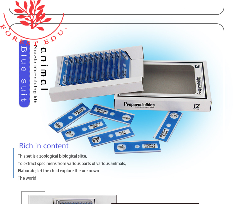 12 Piece Toy Microscope Slide Set - Biological Slides For Children ...