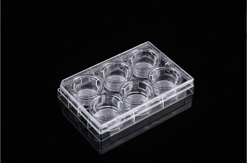 PET Memberane Cell Culture Inserts for 6-well Plates China Manufacturer