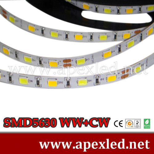 Smd5630 Led Strip Light In Cw/ww Color Changable Dimmable 4mm 5mm 6mm ...