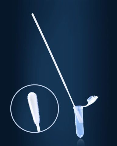Dna Swab Dna Sampling Swab Medical Specimen Flocked Swab, High Quality ...