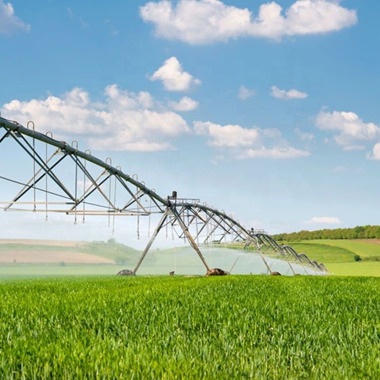 Pivot Irrigation System For 5 Hectares, High Quality Pivot Irrigation ...