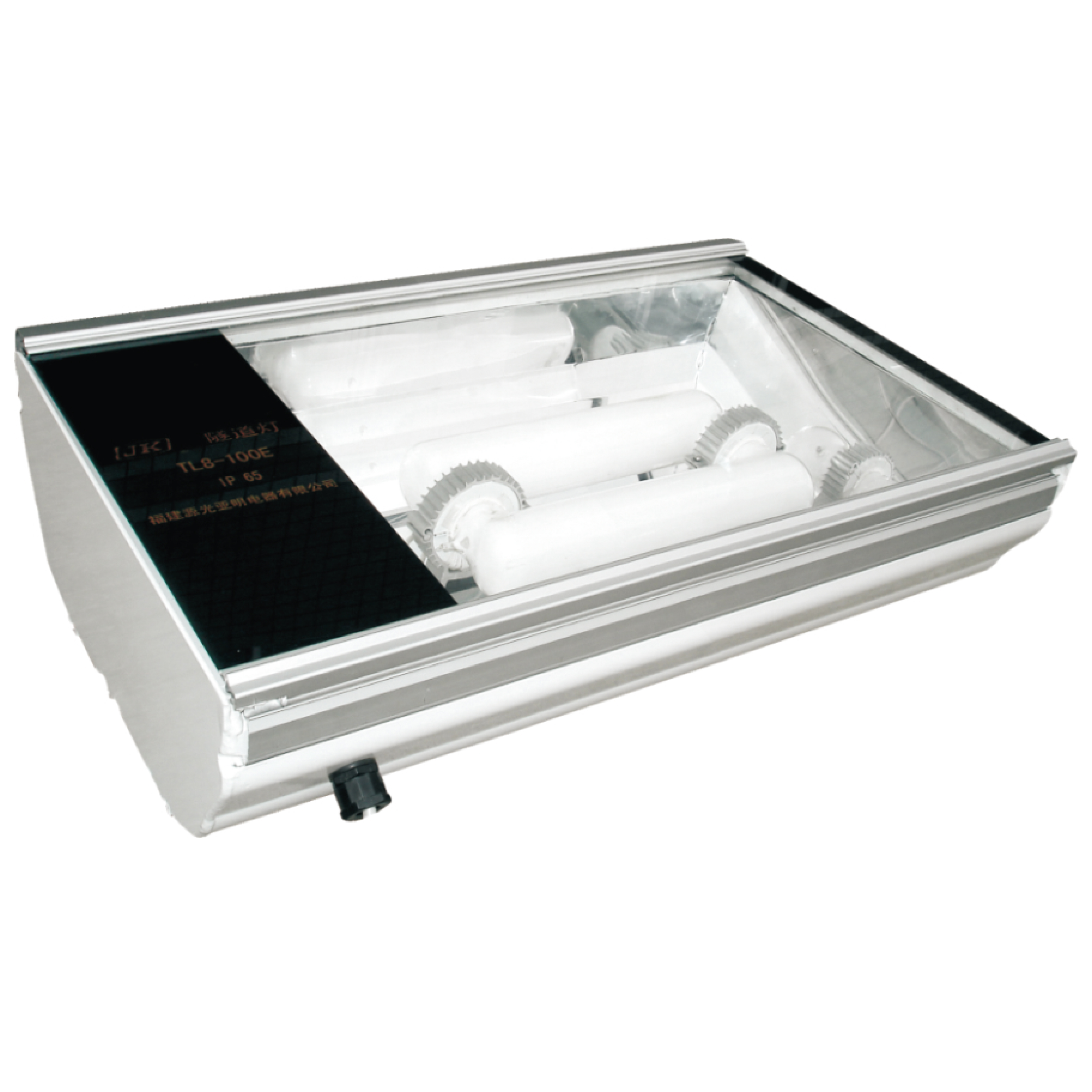 Tl8a Series Ip65 Induction Lighting Fixtures - Oem Customized Tunnel ...